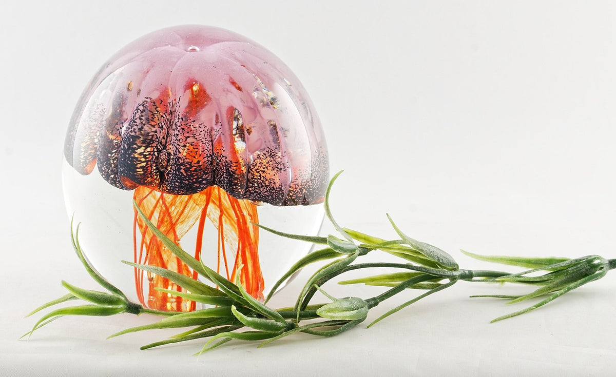 Glass jellyfish - small | The Medusa blown glass | La Meduse - Verre ...